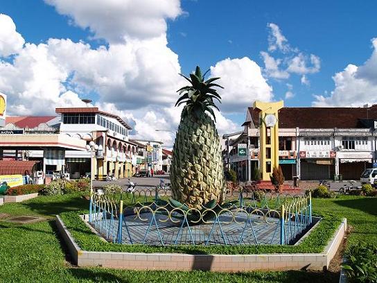 Eva Express Bus Sarawak